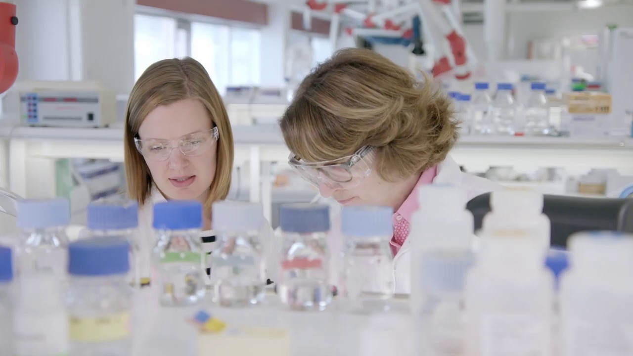 The ABF Ingredients Business - YouTube