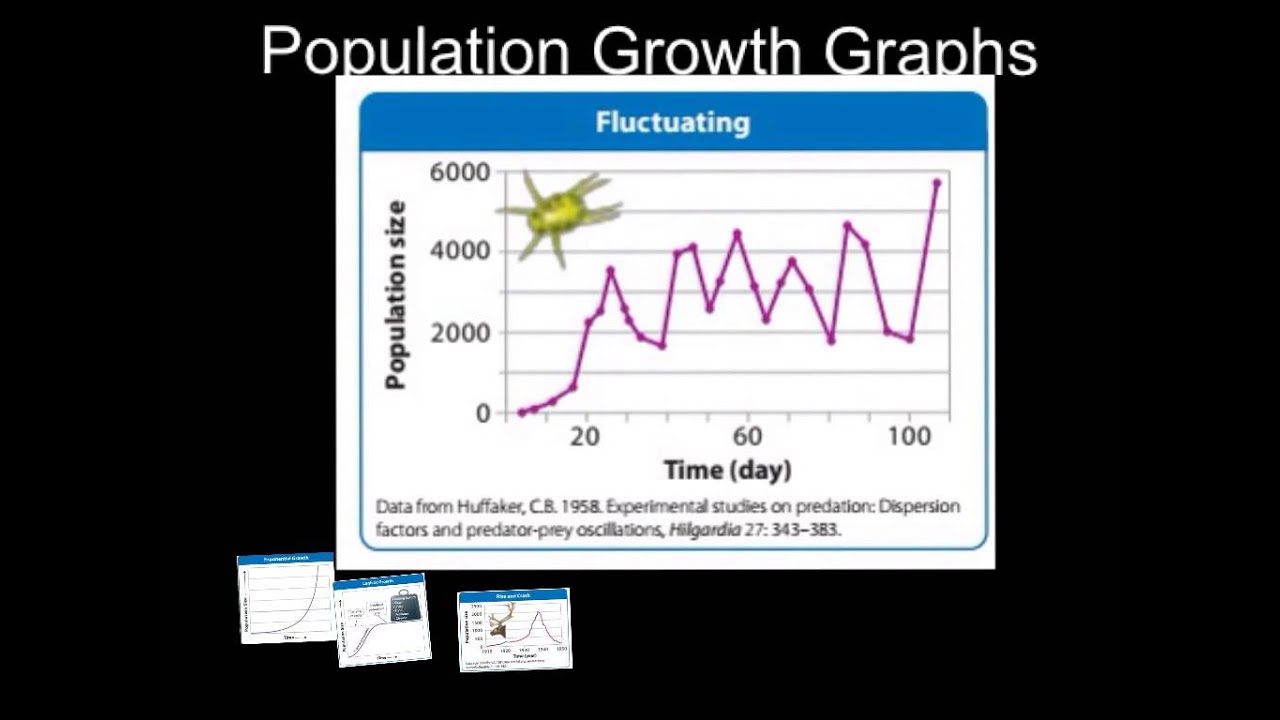 Population Growth Graphs YouTube population-growth-graphs-youtube