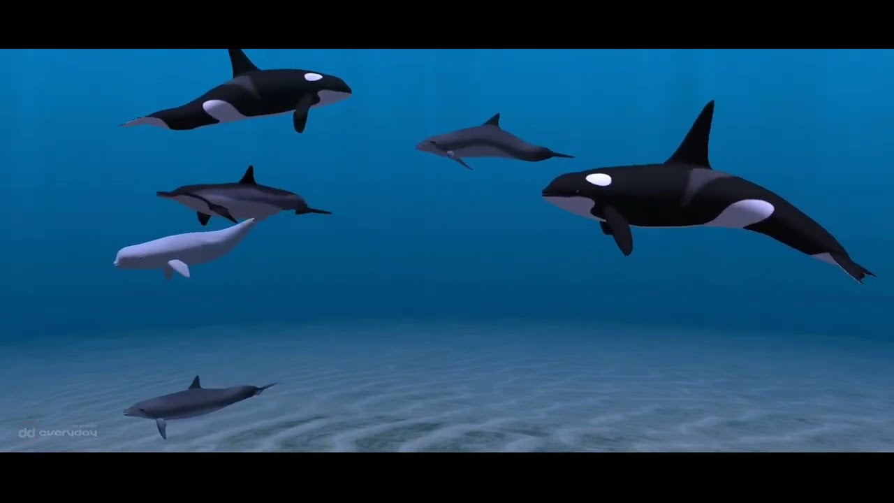 ikan paus, ikan hiu, ikan lumba - lumba | Fish Farm 3 | Relax time ...