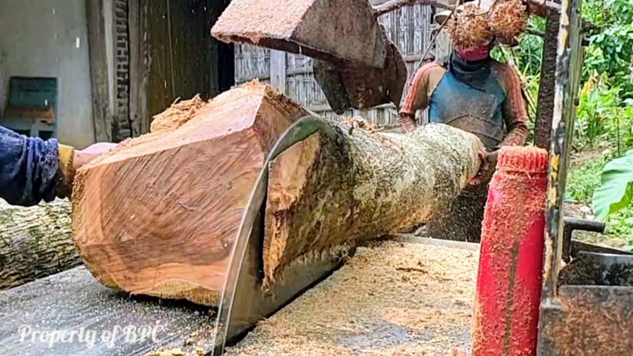 INDONESIAN TEAK WOOD !! assembled serkel saw machine - YouTube