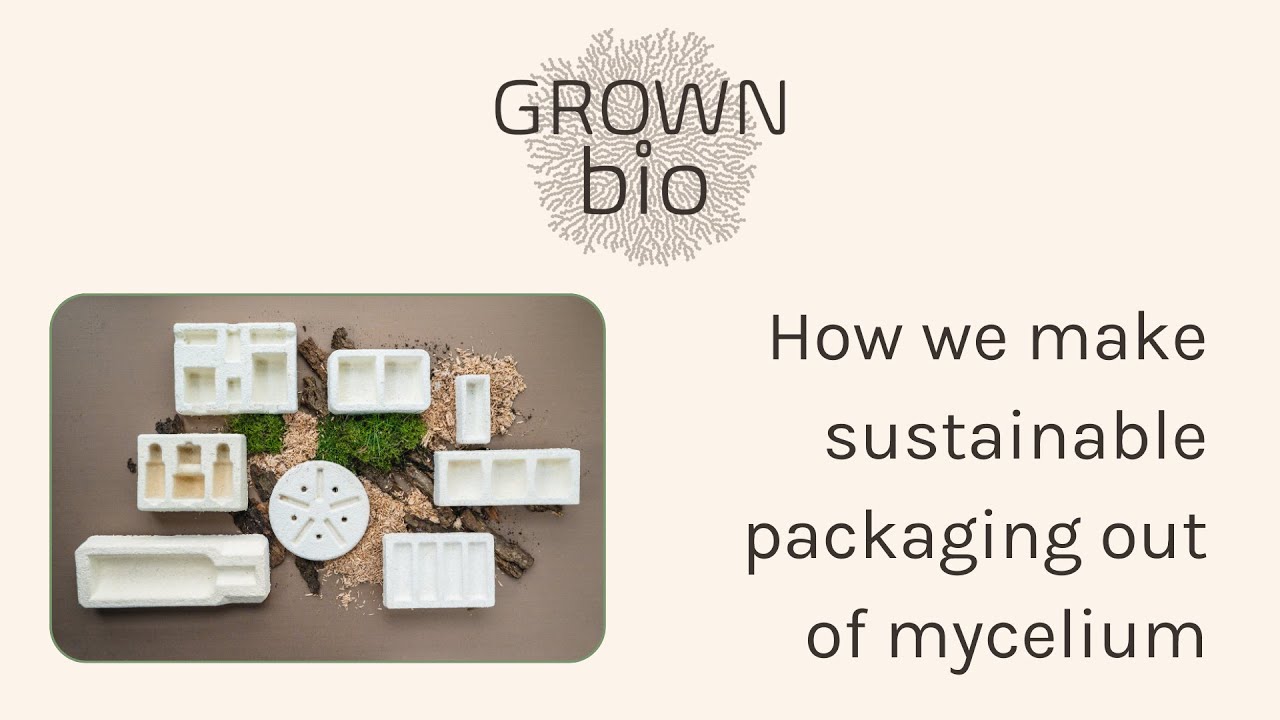 From Mushroom to Packaging: Grown bio's innovative solution! - YouTube