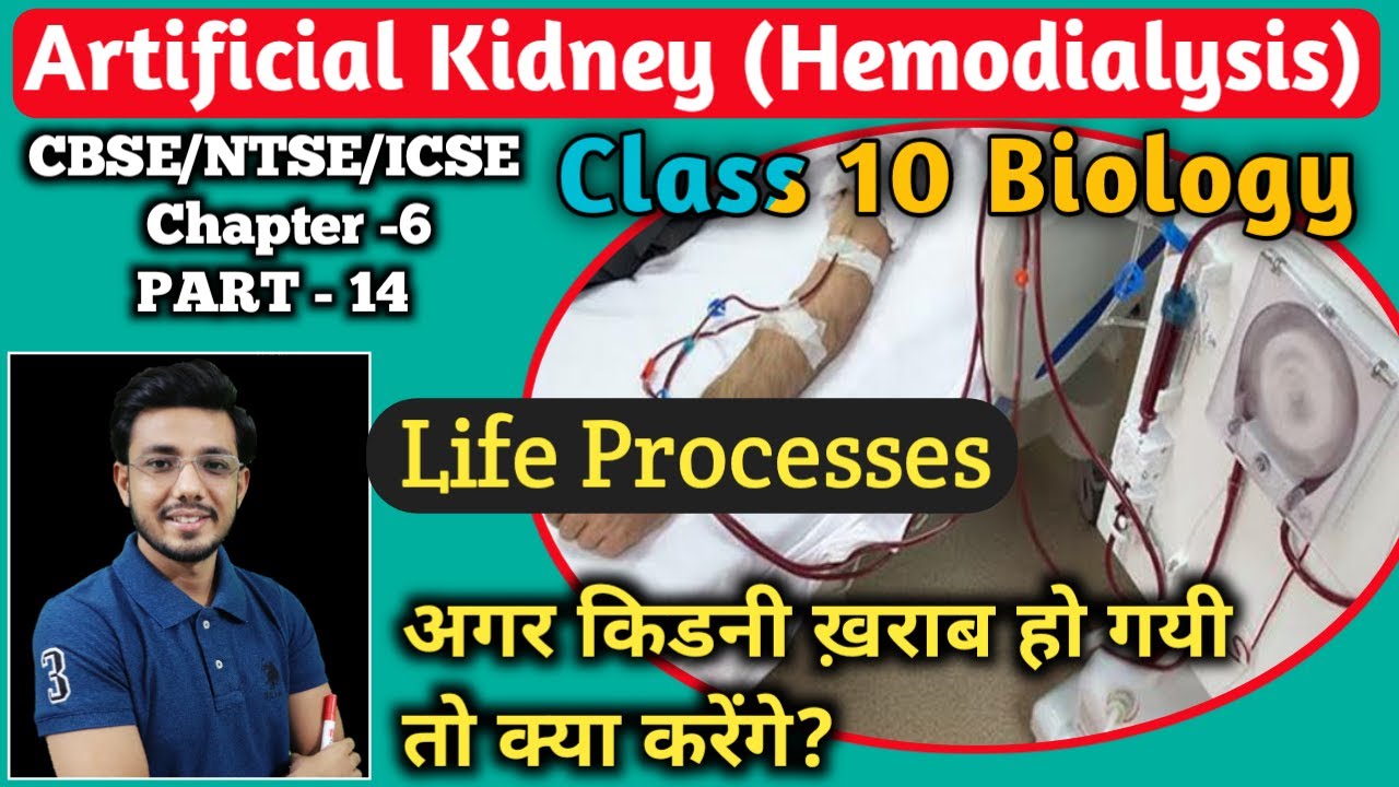 Artificial Kidney - Hemodialysis process | Life processes | Class 10 ...