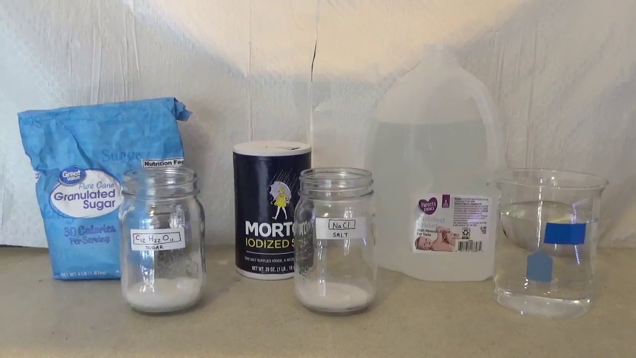 Sugar vs Salt Solutions - YouTube
