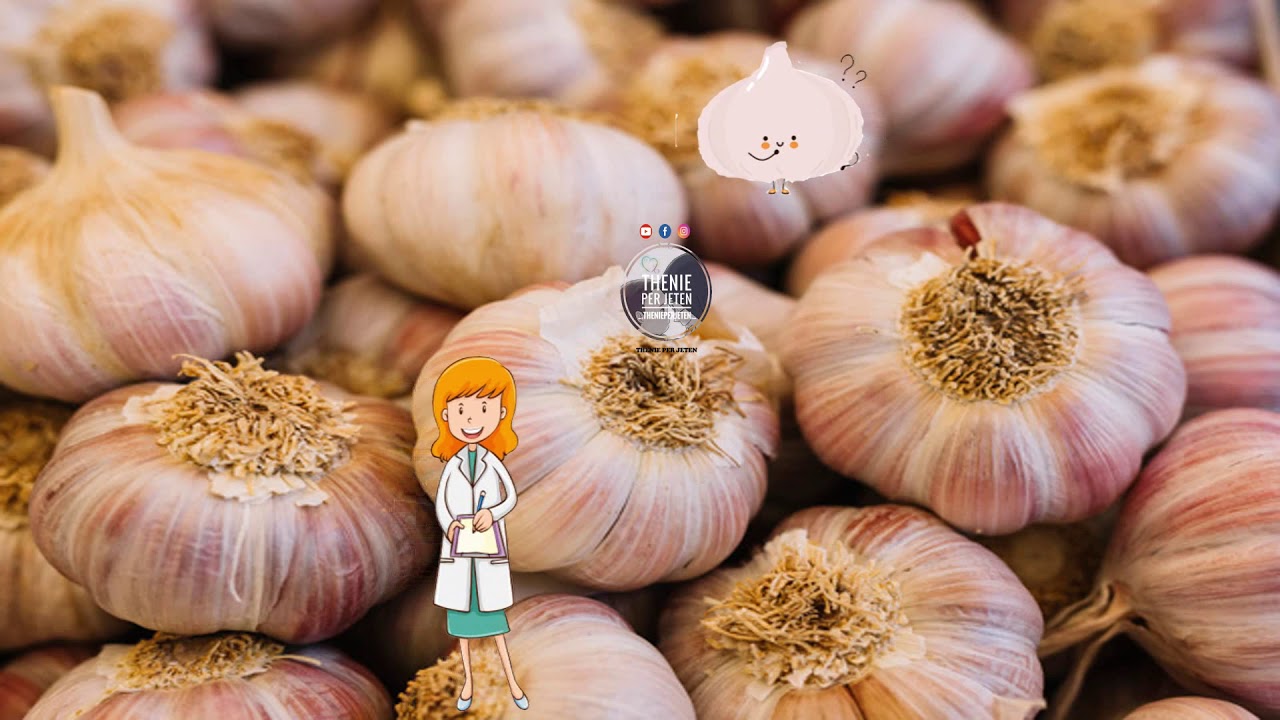 Hudhra është 100 herë më efikase sesa antibiotikët - YouTube