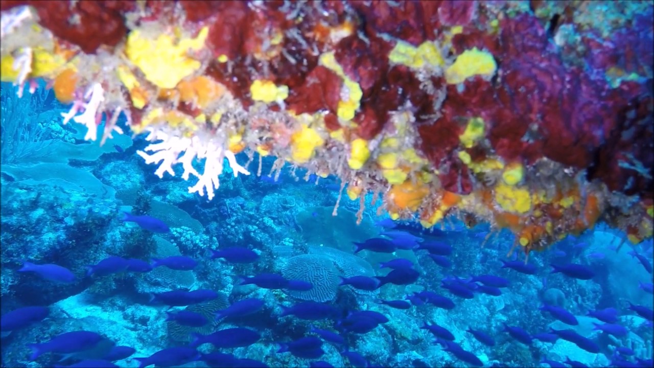 Boka Onima 10 05 2017 - YouTube