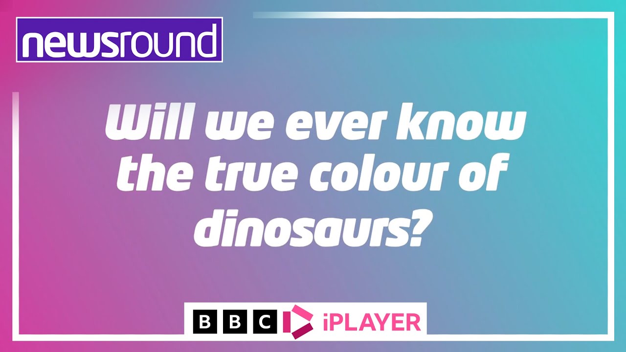 Will We Ever Know the True Colour of Dinosaurs? 🦖 | Newsround - YouTube