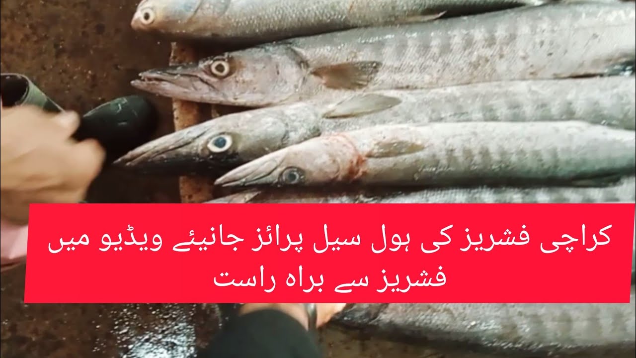 latest Fish price update Karachi Fisheries Pakistan biggest Fish Market ...