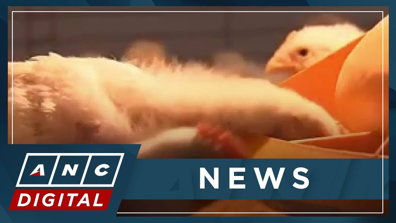 PH Agriculture Department bans import of poultry products from France ...