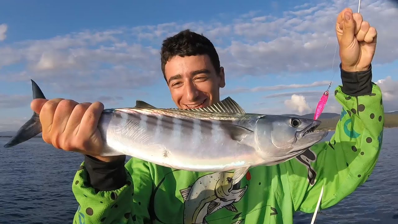 Pesca all'Isola d'Elba - La palamita del golfo - YouTube