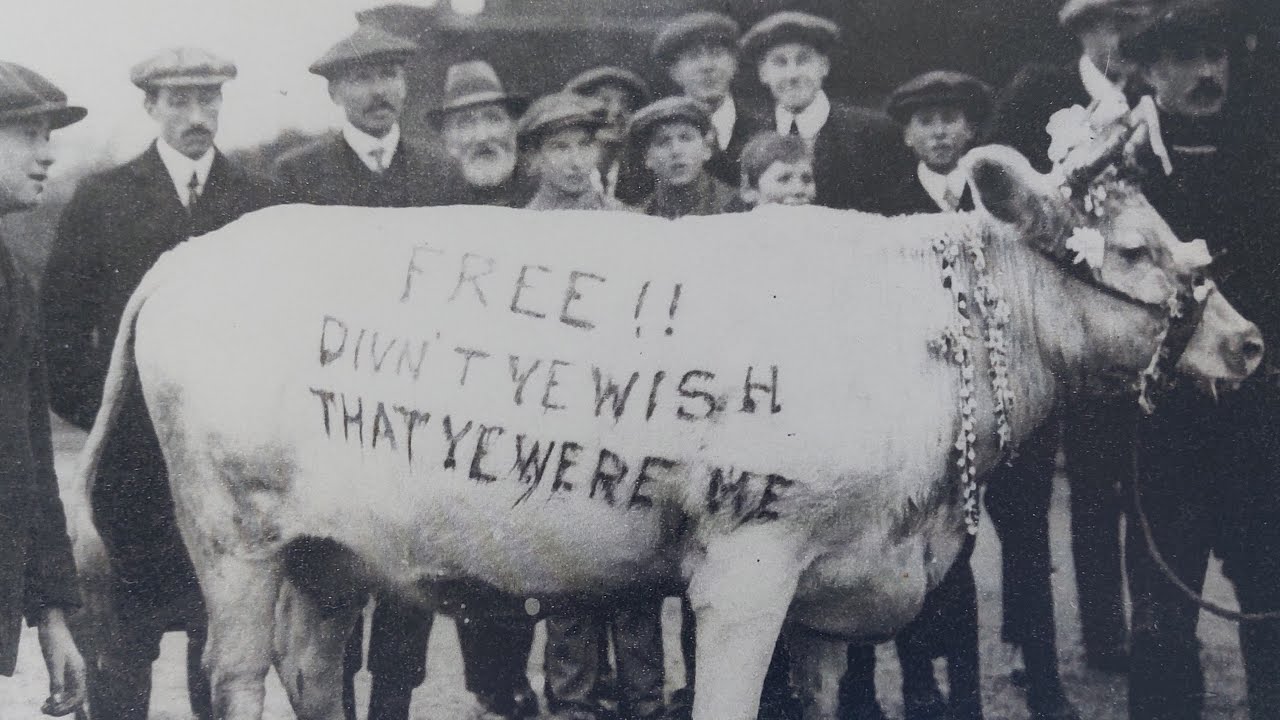 The True Story of the Turra Coo | Scotland's History - YouTube