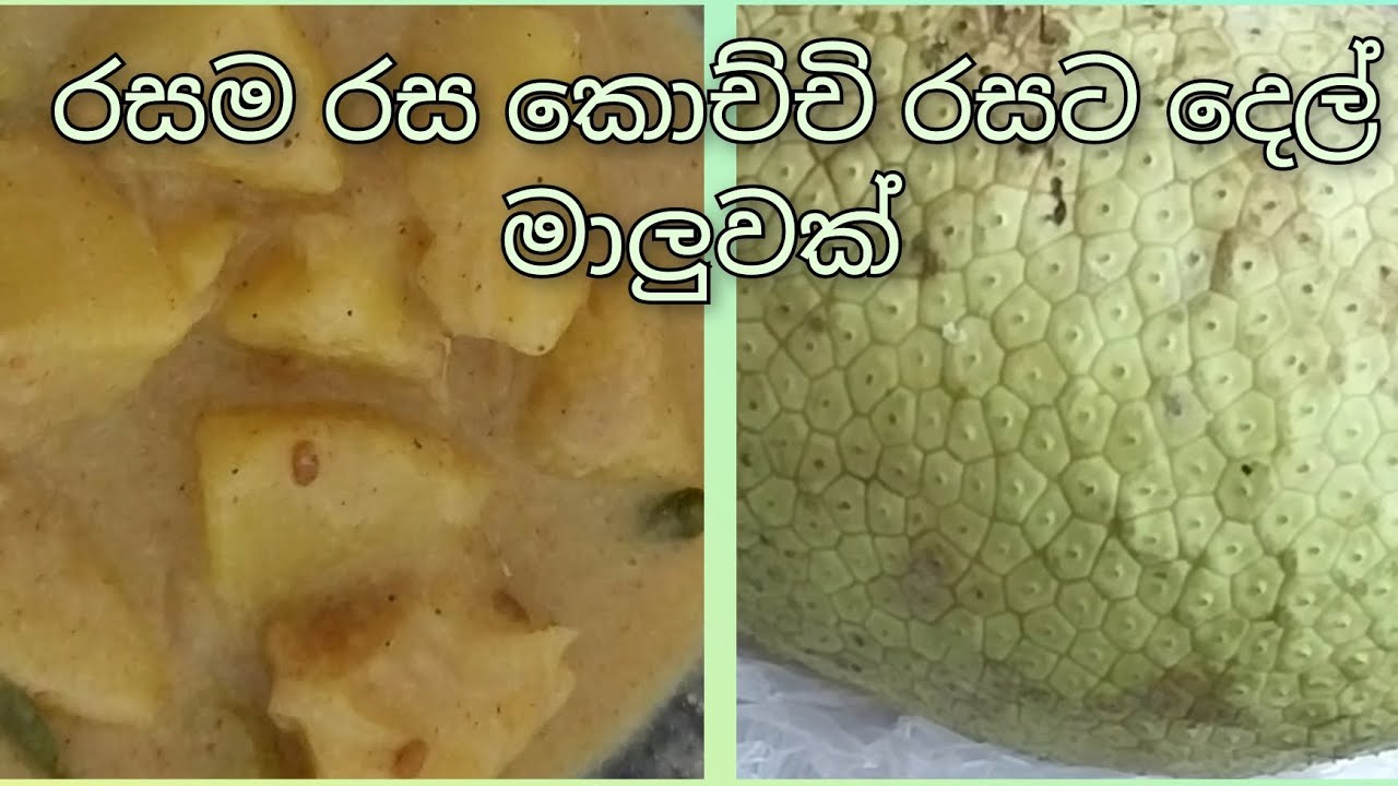 rasama rasa del curry - YouTube