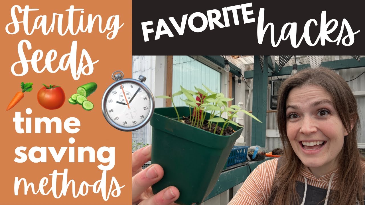 Favorite seed starting methods | TIPS and HACKS for time-saving and ...