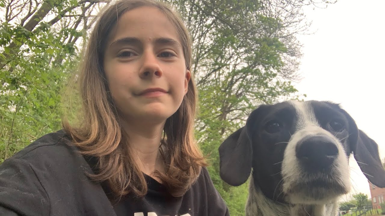 Walking the towpath with my dogs - Narrowboat Girl - YouTube