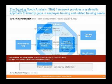 Team Management Models - YouTube