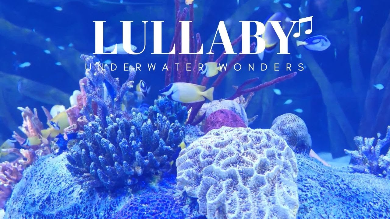 1 Hour of Calm and Soothing Lullaby for Bedtime l Baby Sleep Music l ...