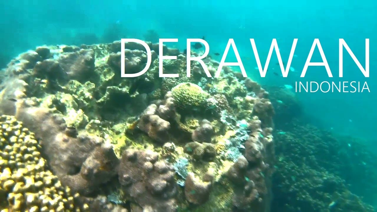 Snorkeling Derawan Kalimantan Timur Indonesia - YouTube
