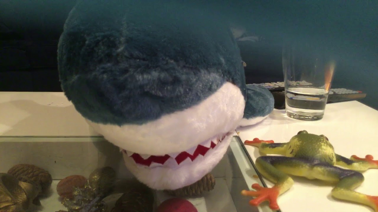 Episode 2 of frog and shark - YouTube