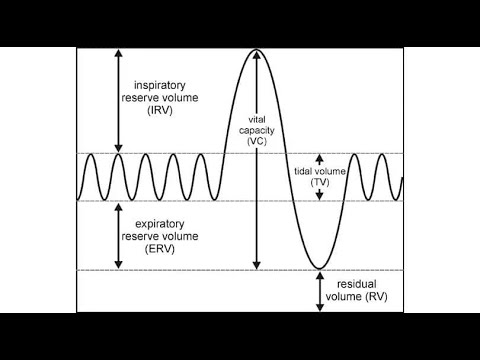 Measurement of lung volumes ; Definition, Types, Uses, Methods ...