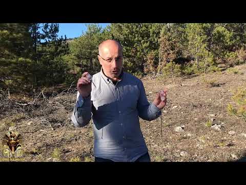 DEFİNE, ODA ALAN TARAMA İLE NASIL BULUNUR VE NASIL ANLARIZ