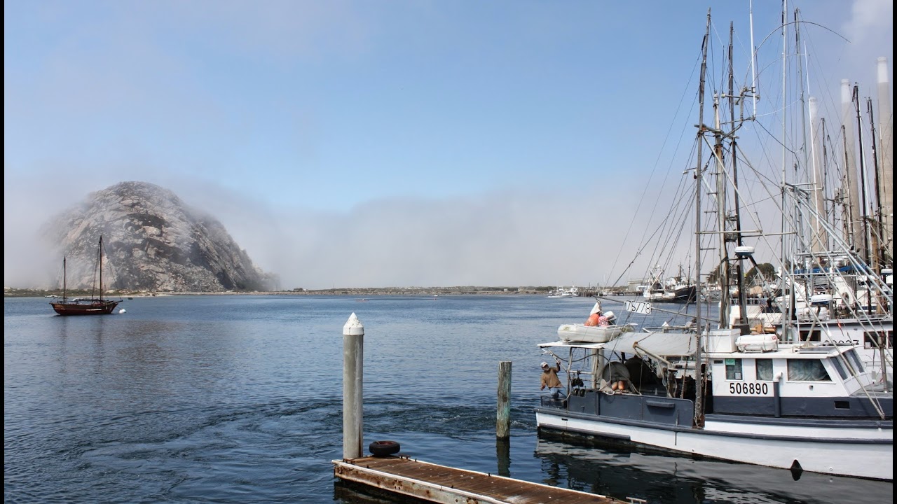 松田誠一 / Seiichi Matsuda のライブ配信 - YouTube