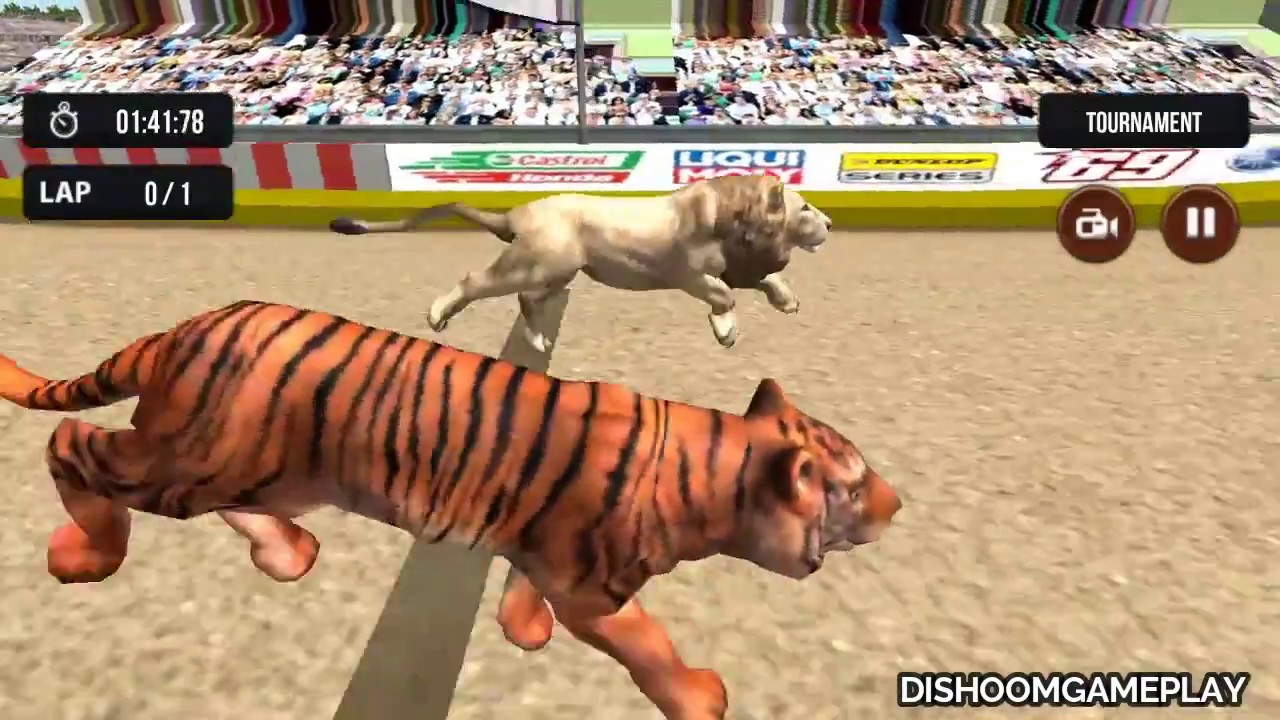 Wild Lion Racing Fever : Animal Race #6 | Lion Hunt Horse ...