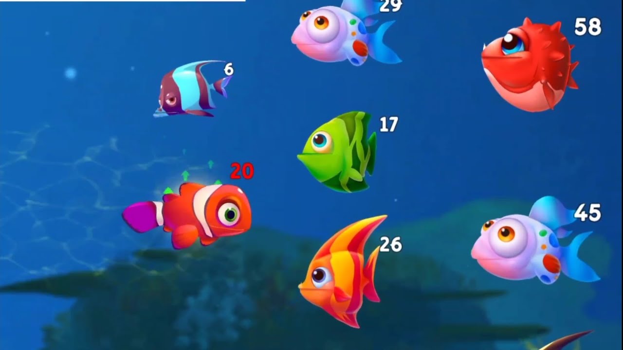 Hungry Fish Fishdom Gameplay level 16 Today's Special - YouTube