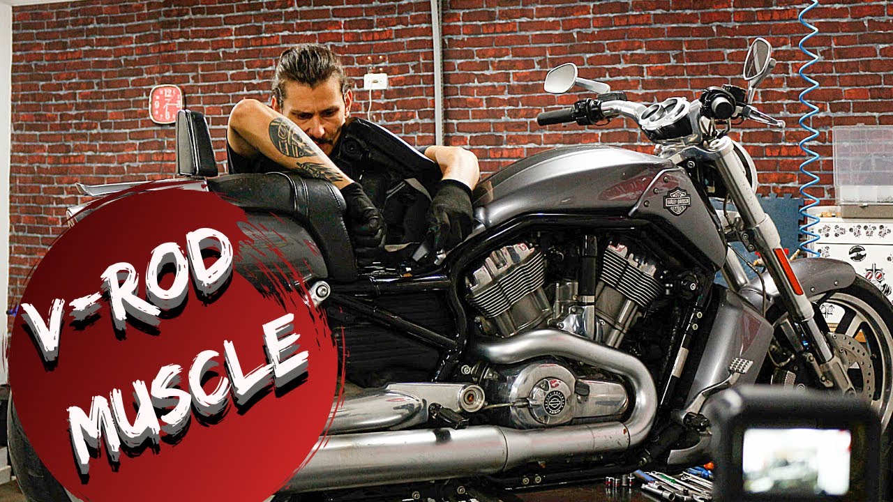 CUSTOMIZAÇÃO V-ROD MUSCLE - EP01 - Desmontagem - YouTube