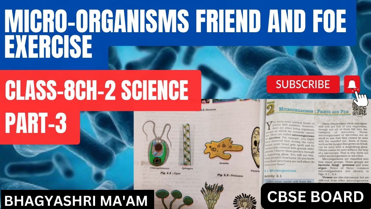 CBSE board||Class 8 science chapter 2||Micro-organisms friend and foe ...