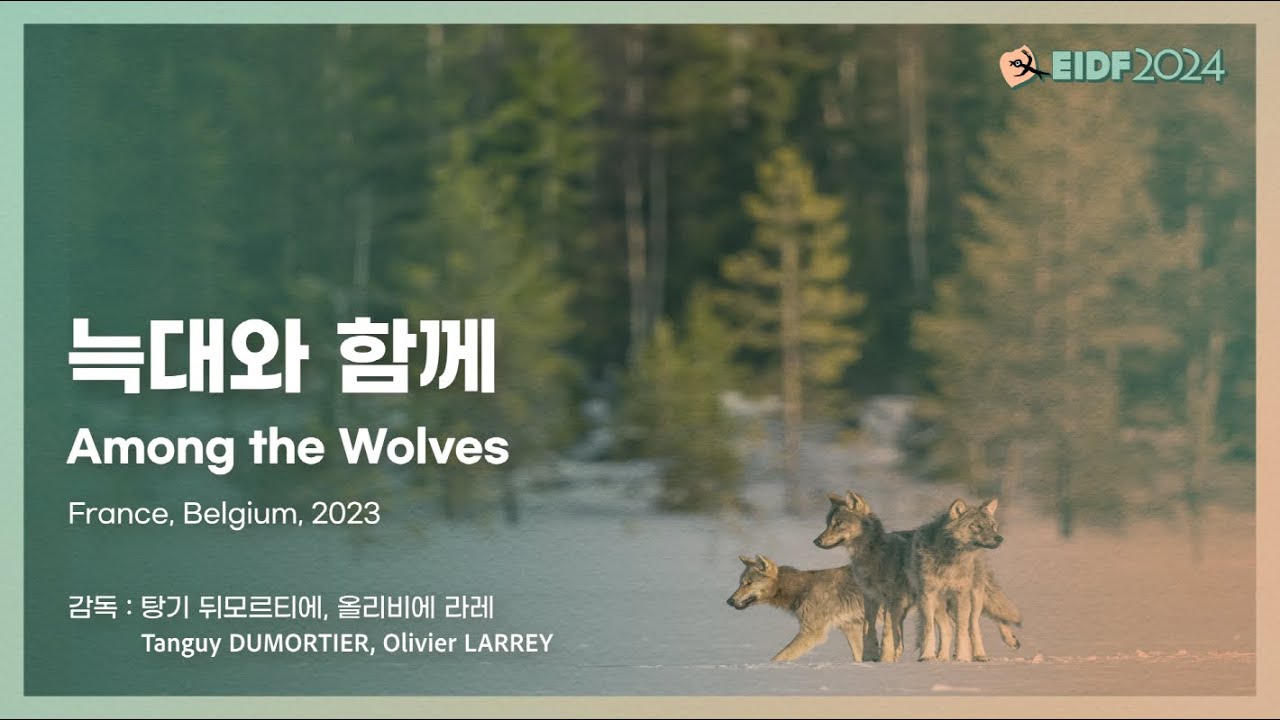 [EIDF2024 OFFICIAL] 늑대와 함께 / Among the Wolves - YouTube