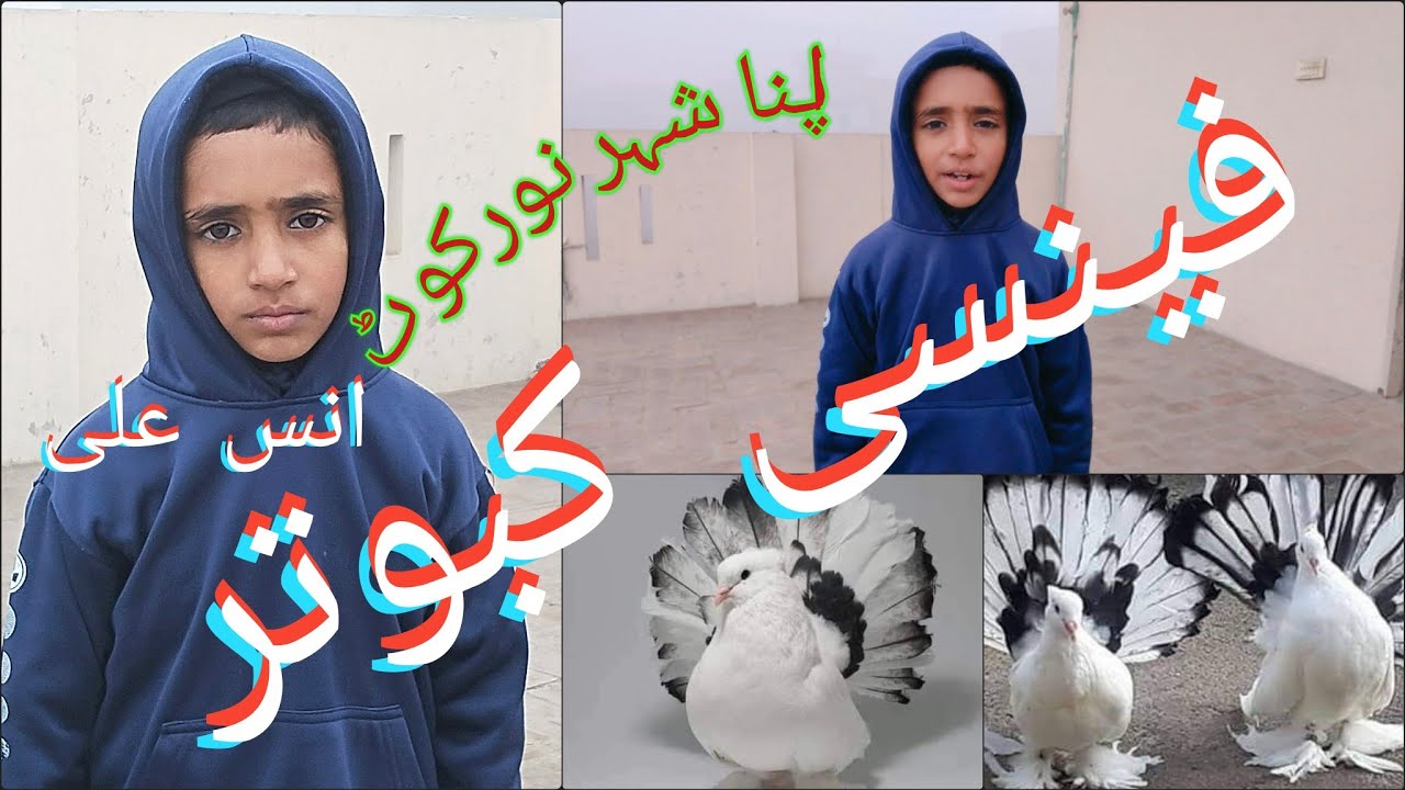 @NewFancyKabootar #Apna #Shahar #Nurkot - YouTube