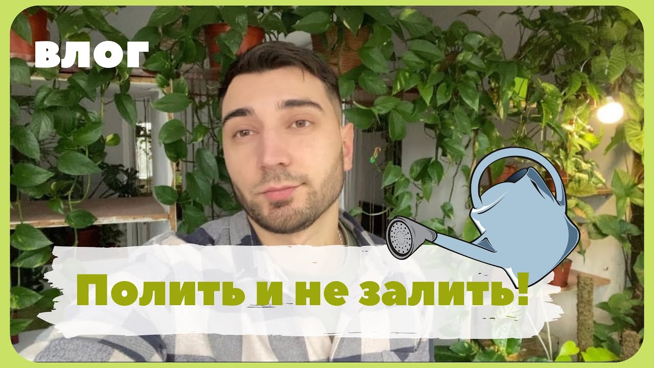 Уход за комнатными растениями полив и обрезка растений зимой Youtube