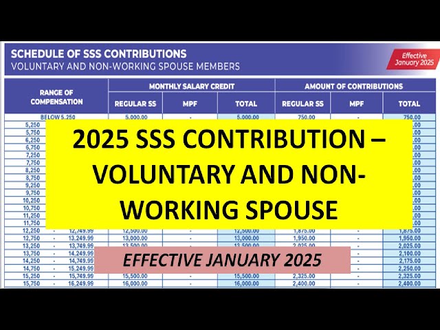 Sss Contribution Table 2019 For Voluntary Member - Infoupdate.org