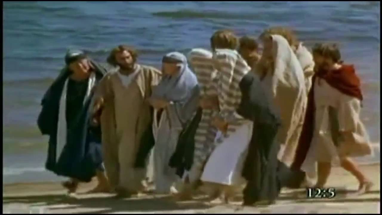 Mateo 12, 1-8 Evangelio Julio 15 2016 - YouTube