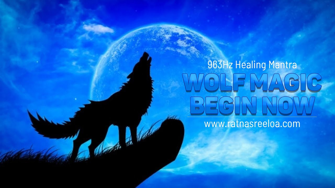 Chant WOLF MAGIC BEGIN NOW & Get the magic in your LIFE! 😍 963hz ...