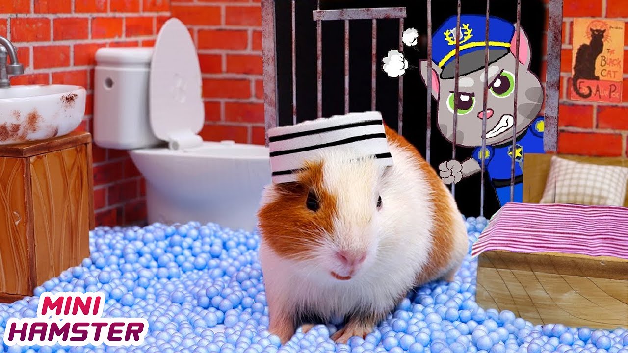 Hamster escapes Bubble Prison Maze for pets in real life with Talking ...