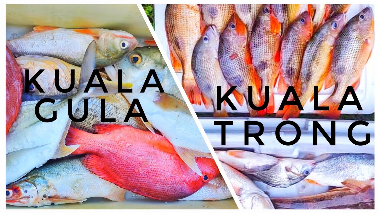 Kuala Gula VS Kuala Trong #vlog65 - YouTube