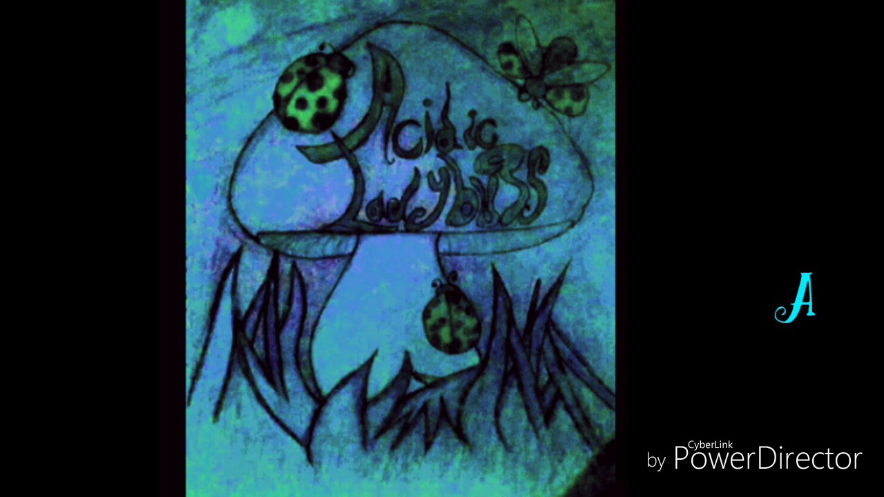Acidic Ladybugs: New Songs - YouTube