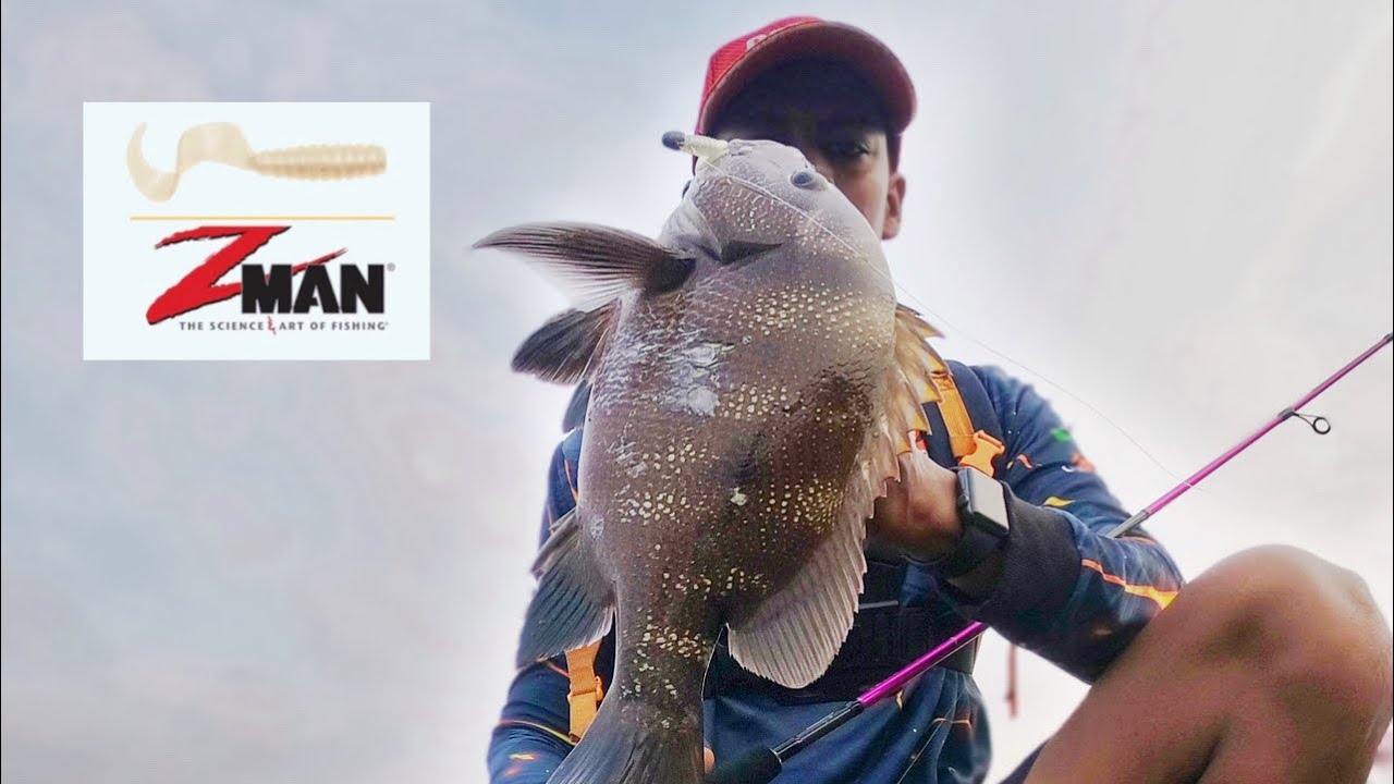 Goa fishing Big blubber lip snapper on Zman grubz 2inch ultra light ...