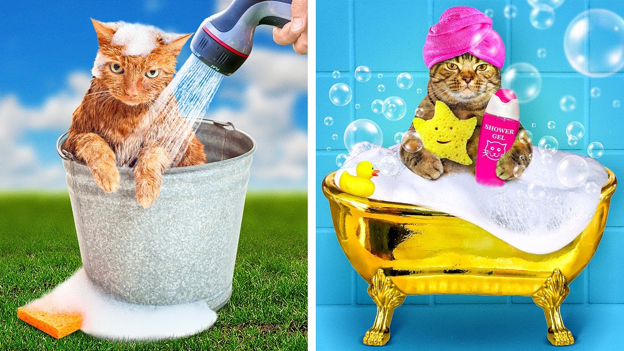 RICH vs BROKE PET OWNER || COOL GADGETS & SMART HACKS FOR YOUR PETS ...