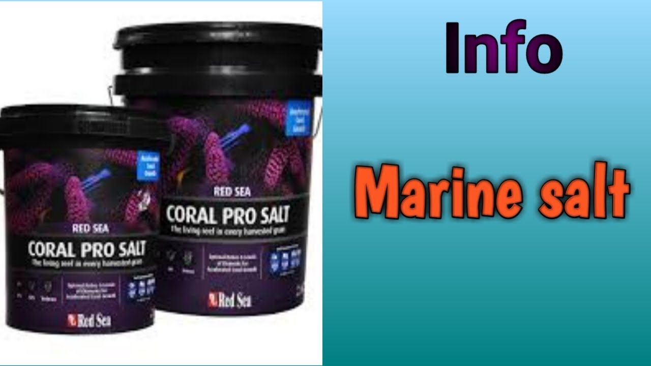 Some information of marine salt - YouTube