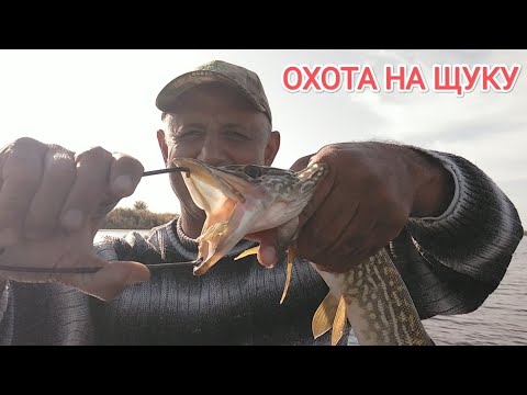 PAYIZ FƏSİLİNDƏ DURNABALIĞI OVU / Durnabalığı ( şuka ) axtarışında.