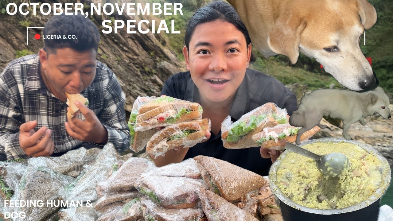 OCTOBER & NOVEMBER SPECIAL ️ || FEEDING DOG & HUMAN || - YouTube