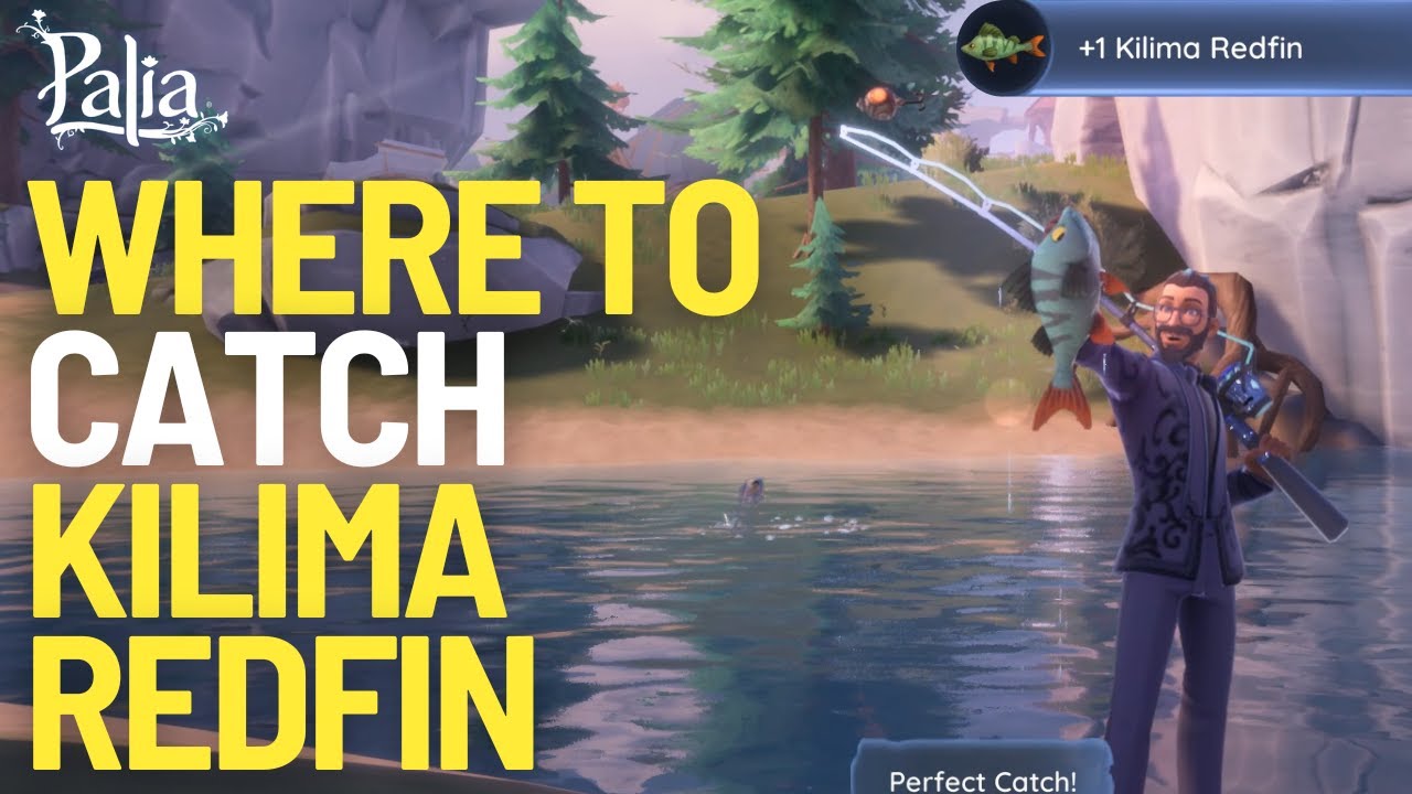 Where to Catch the Kilima Redfin in Palia 2025 - YouTube
