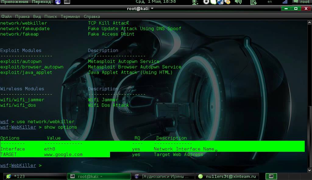 Webkiller в Kali Linux - YouTube
