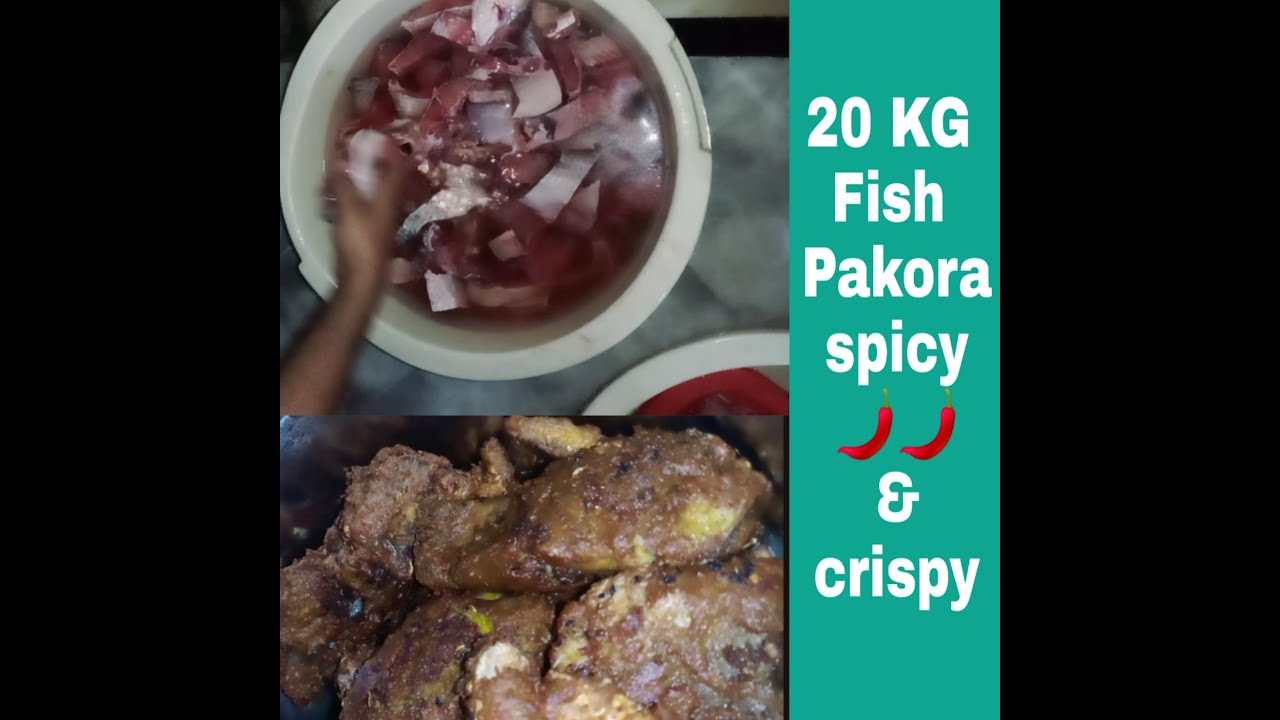 FISH 20kg fish pakora spicy & crispy/delicious (KITCHEN WITH BILAL ...