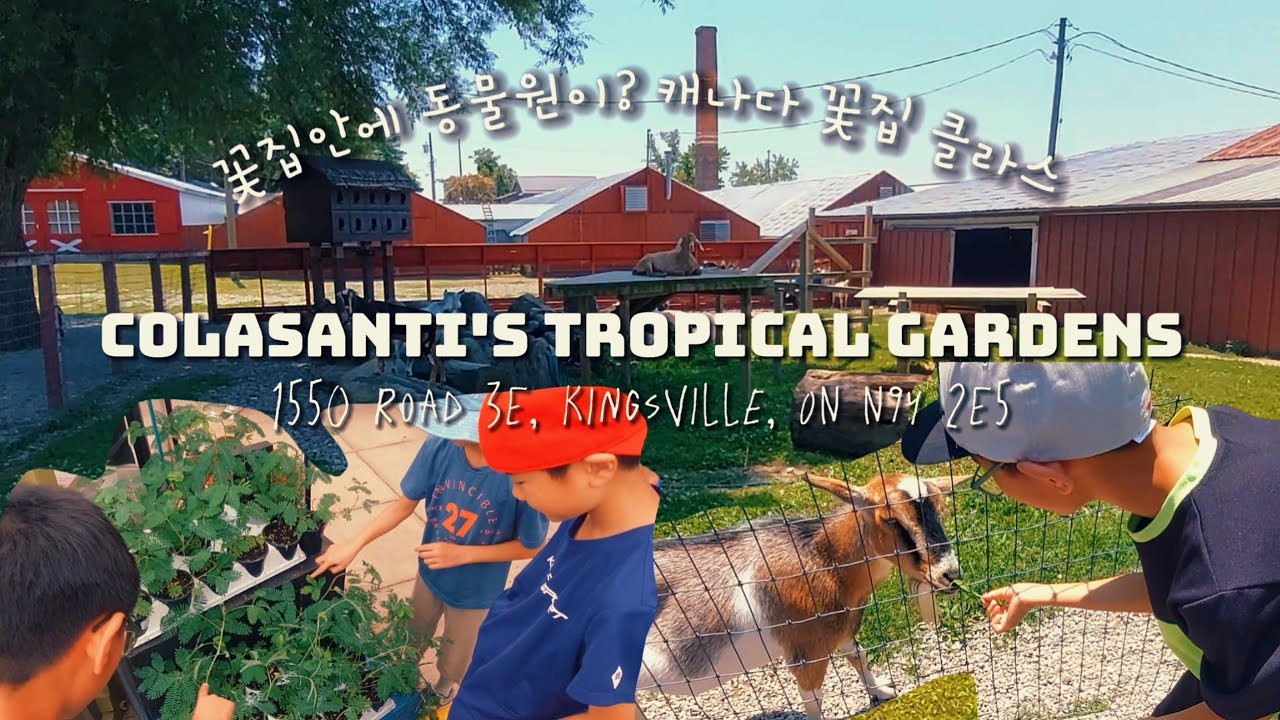 🪴Colasanti's Tropical Gardens/ 꽃집안에 동물원이 있다고요? 캐나다 화원 클라스~🪴💐🍀 / Ep.1 ...