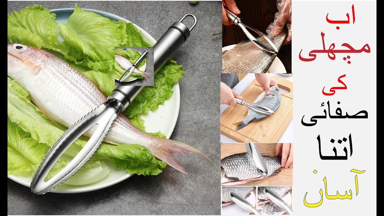 Fish scales Scraping Graters Fast Remove Fish Cleaning Gadget - YouTube