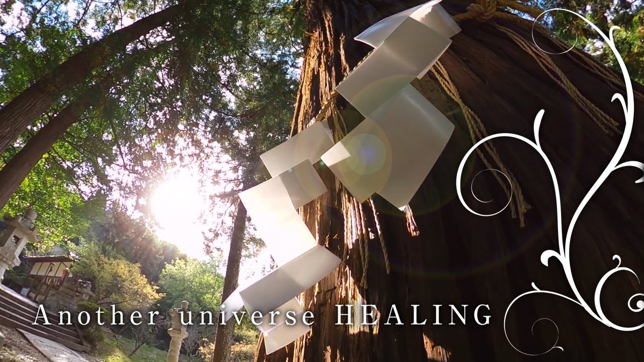 [Mysterious Tree Spirit Forest] Japan's oldest living Tenmangu Shrine ...