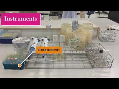 Module 3:Time kill experiment by SC lab - YouTube