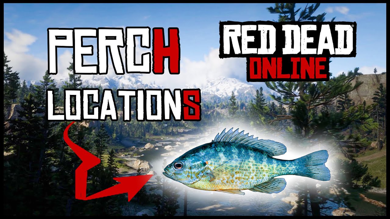 PERCH CAUGHT - RED DEAD ONLINE - DAILY CHALLENGE - YouTube